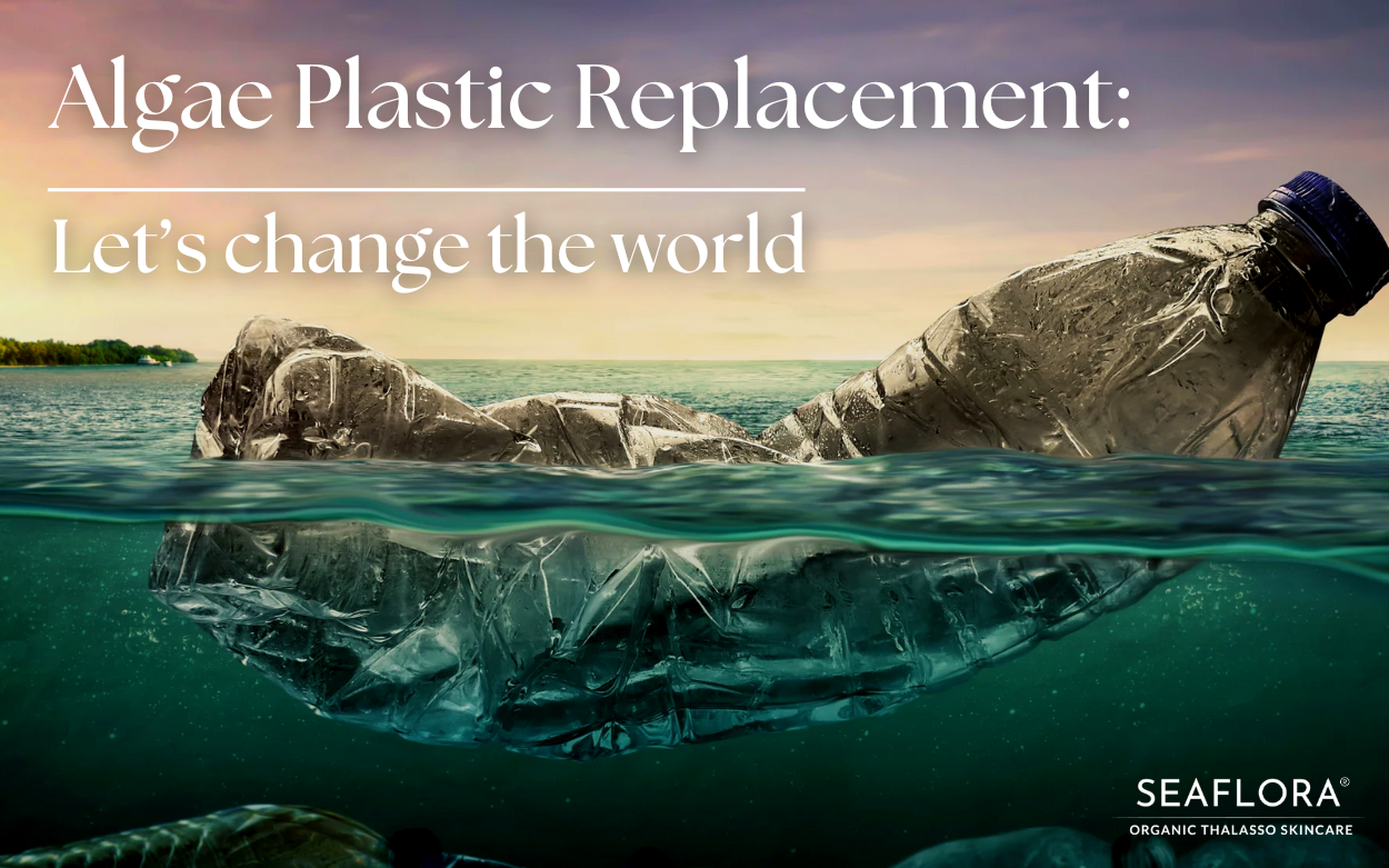 Algae Plastic Replacement - The Future of Sustainability