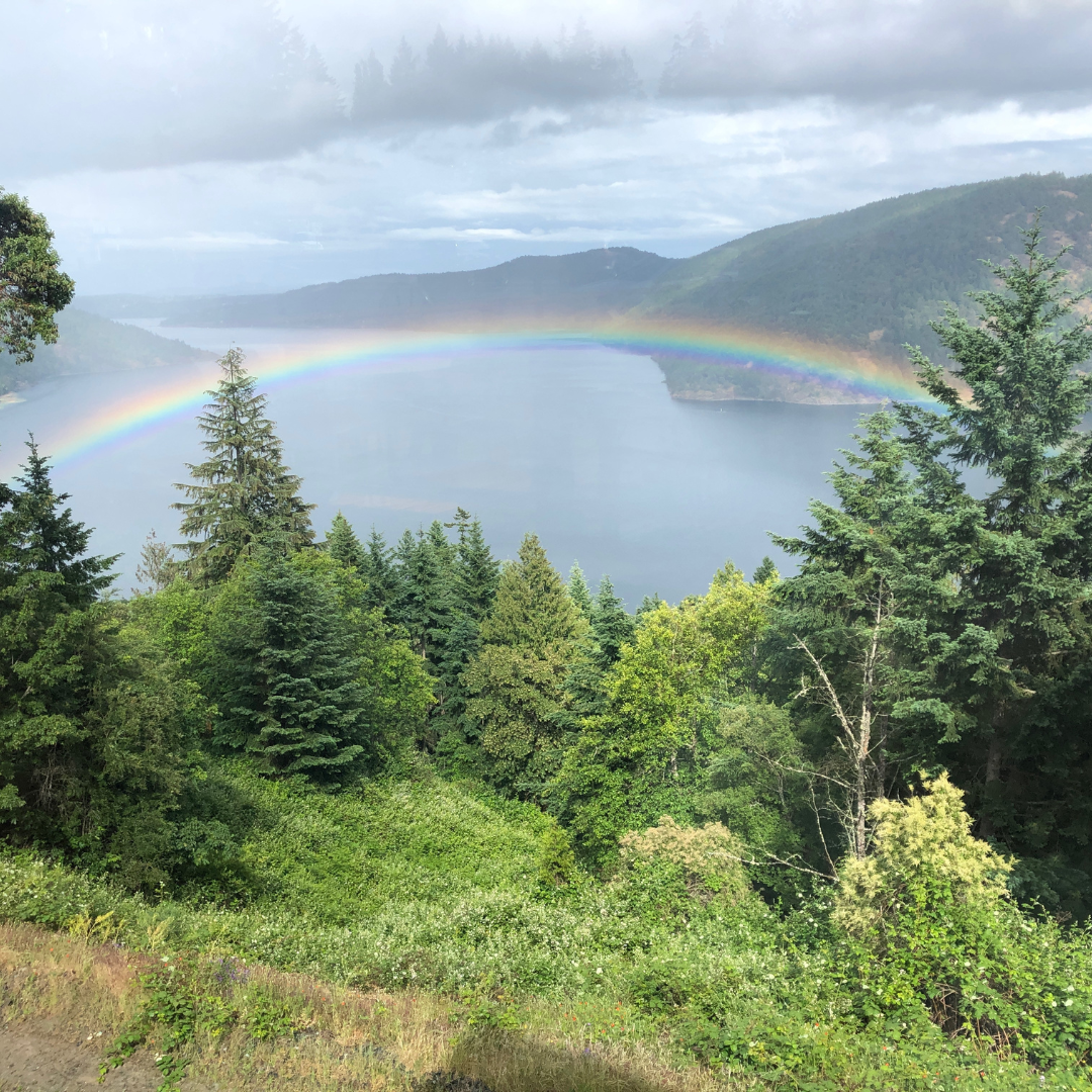 Clean and Sustainable Skin Care Made in Canada